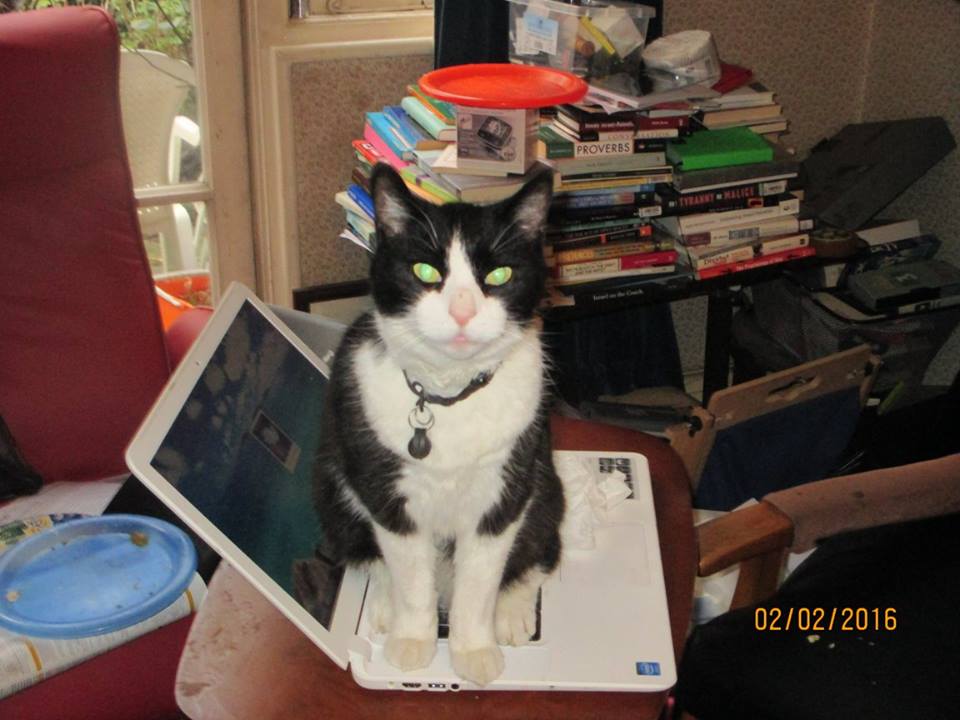 20th Century Literature – How my heart sings