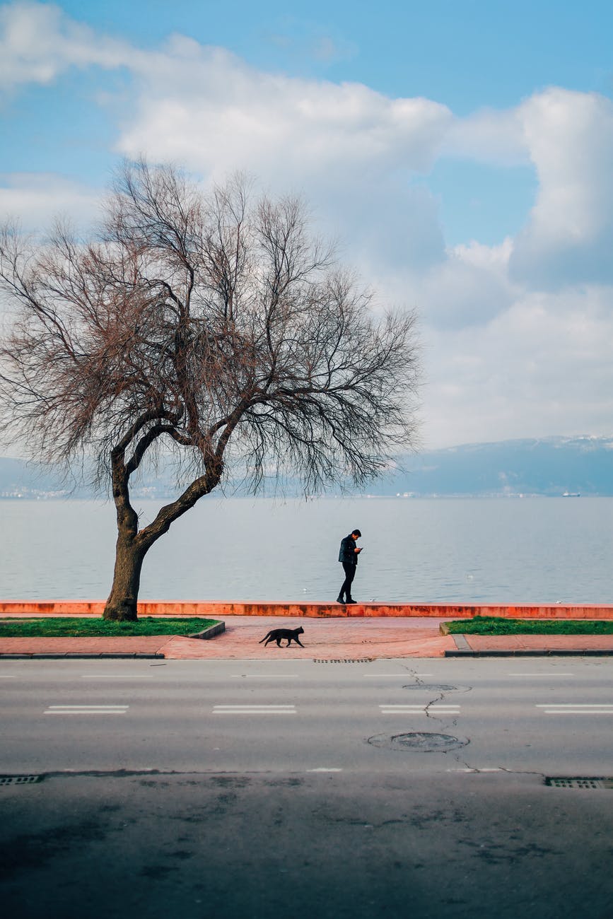 Loveliest of trees – How my heart speaks