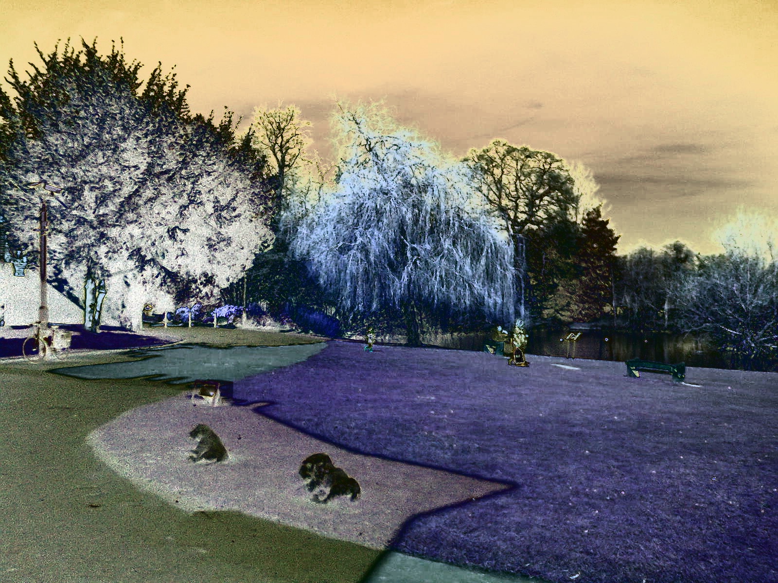 Overly Alert? Hypervigilance and Your Health – How my heart sings