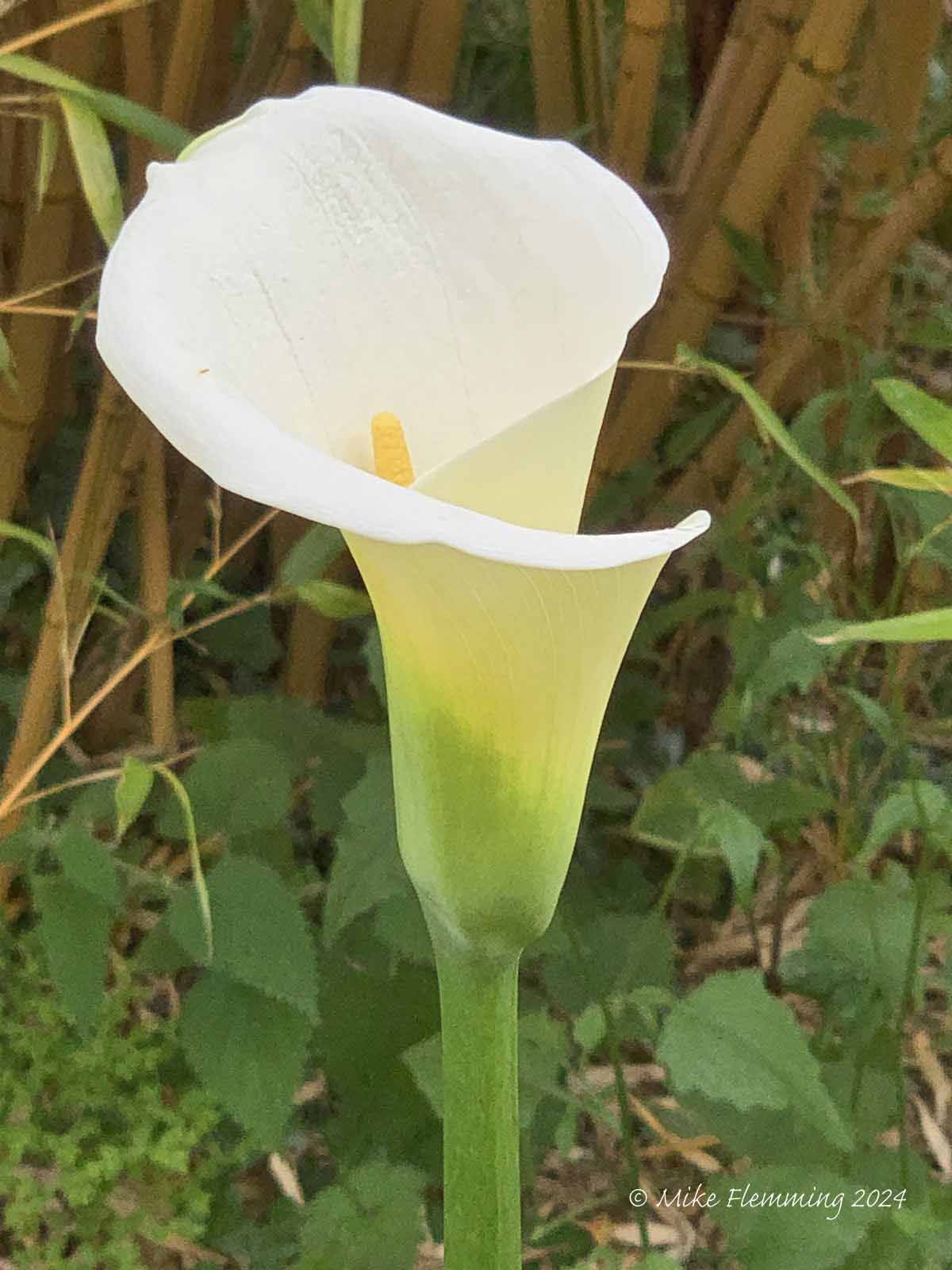 Angry? Disappointed? Heartbroken? Think twice before you call the ...