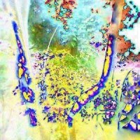 What names might small birds call us? – How my heart sings