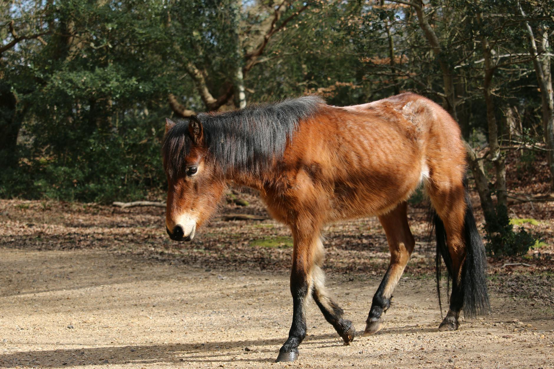 Identity politics | Definition, Examples, & Facts | Britannica – How my ...