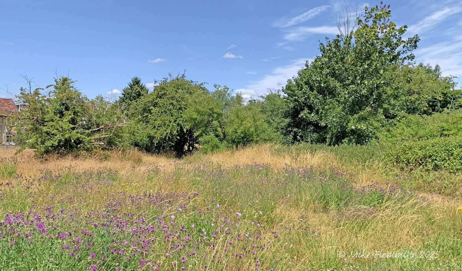 Shakespeare’s Sonnets Sonnet 94 Summary & Analysis | SparkNotes – How ...